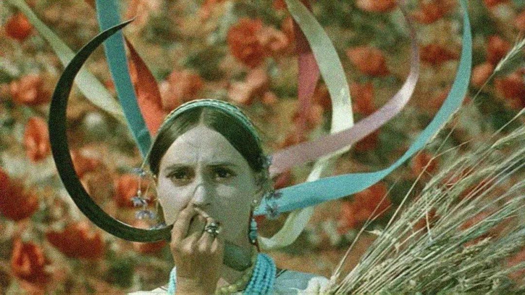 A Guide to the Philosophy of Life: Ukrainian Poetic Cinema
